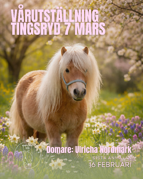 Vårutställning Tingsryd 7 mars :: shetlandsyd